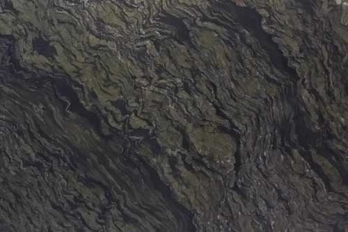 Birjand Forest Green Granite » Buying & Spec » DST